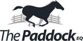 the paddock